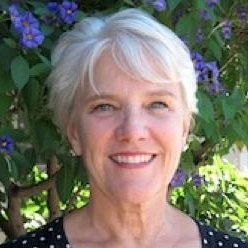 Antidote Health Plan of Arizona - The Hertel Report